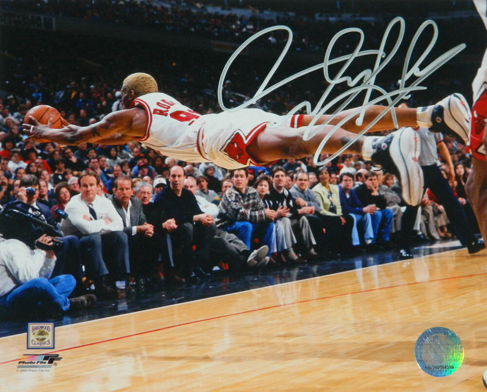 Dennis Rodman Signed Chicago Bulls Diving Action 8×10 Photo – Schwartz ...